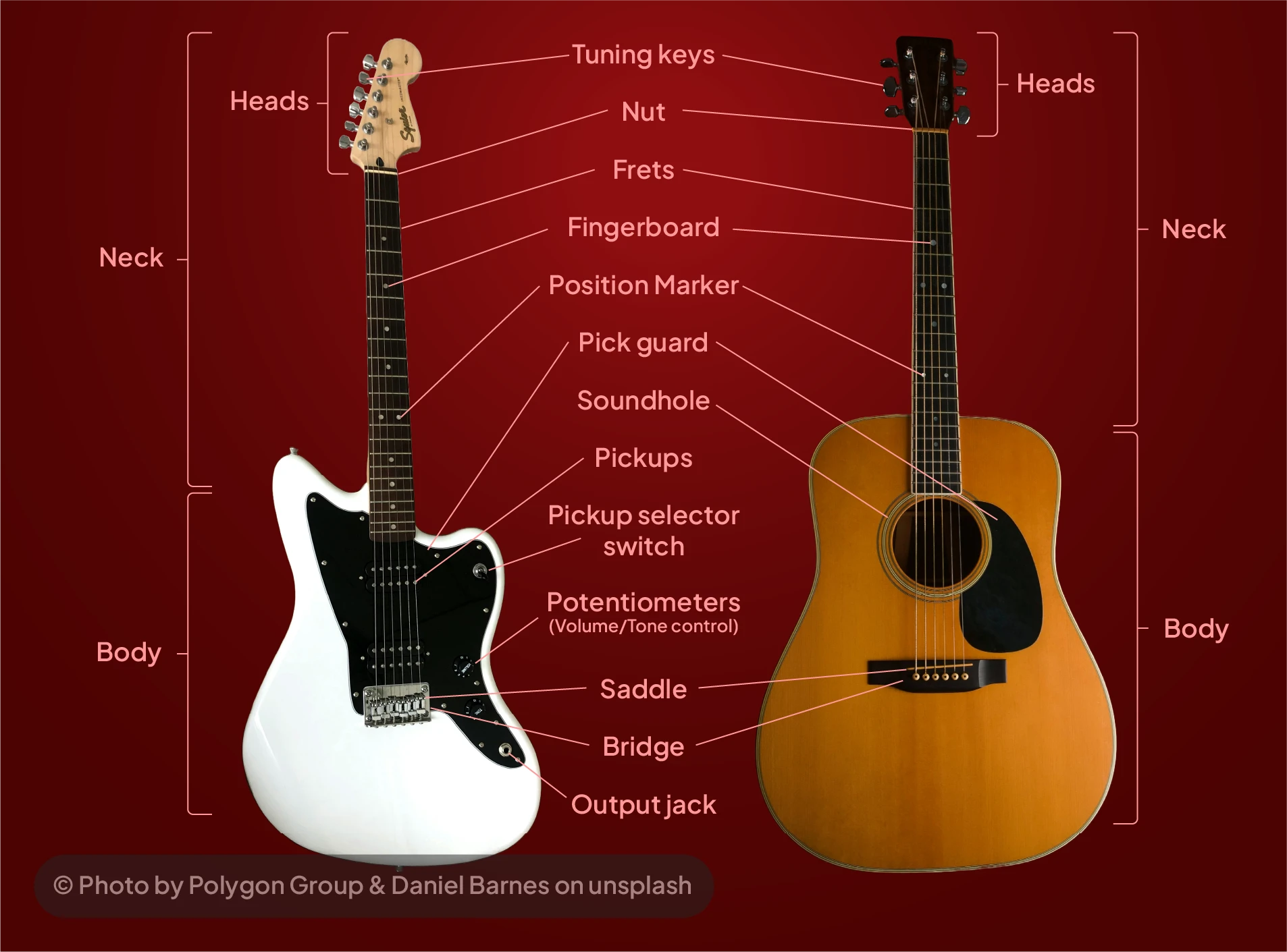 Guitar Anatomy – Understanding the Different Parts of the Guitar