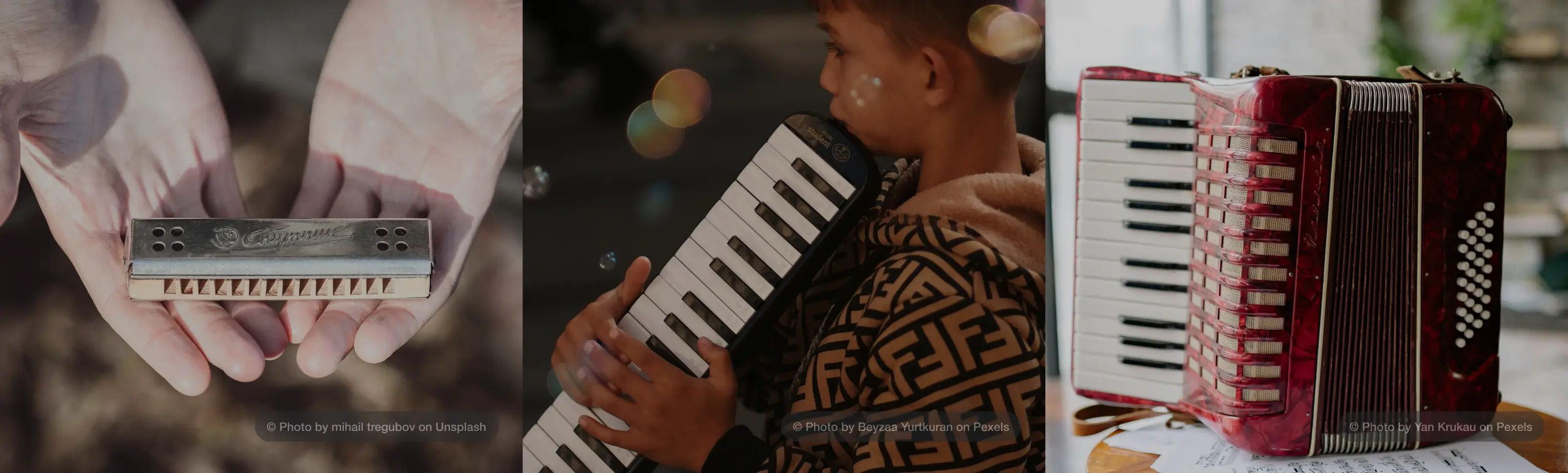 Reed Instrument - Overview, History, Mechanism, & Types - ipassio